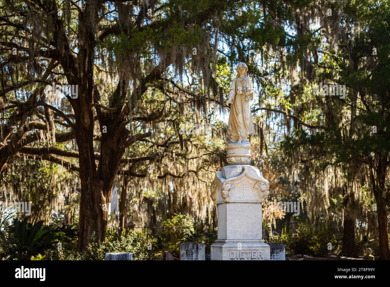 George Dieter tribute statue surrounded by live oaks draped with ...