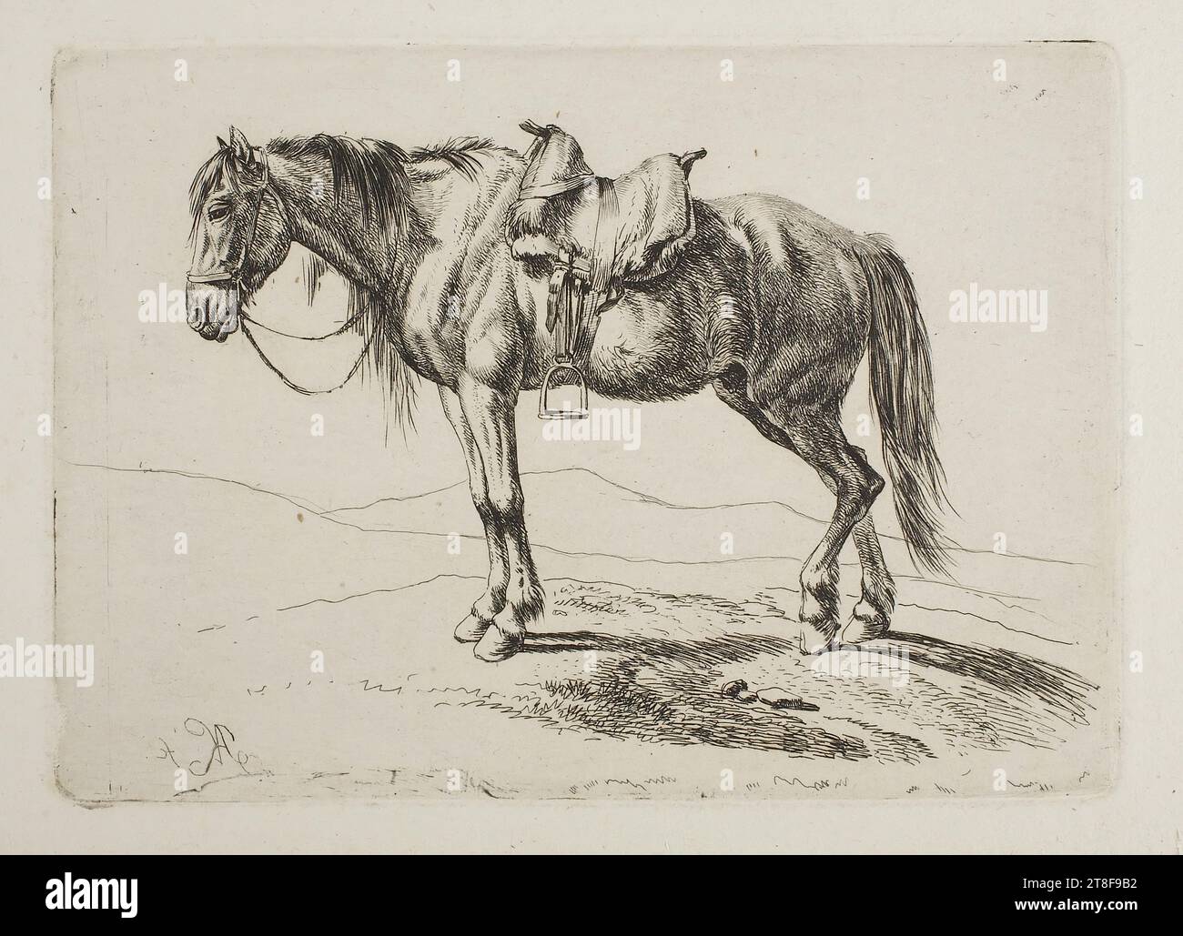 Saddled Horse, Johann Adam Klein, 1792-1875, No later than 1875 ...