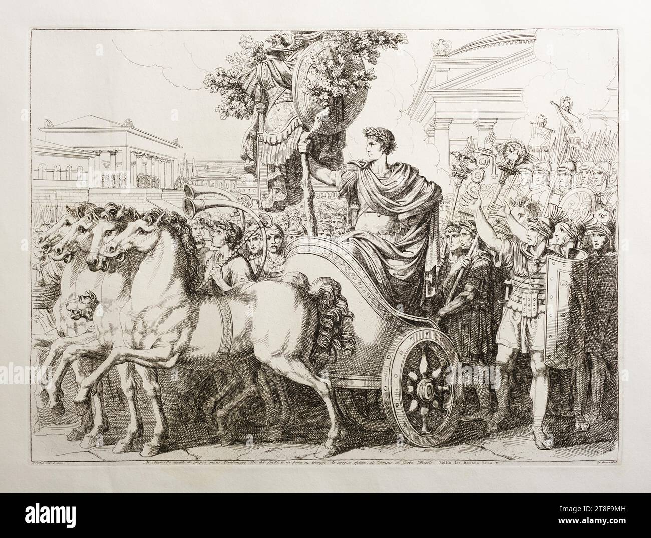 Viridomarus king hi-res stock photography and images - Alamy