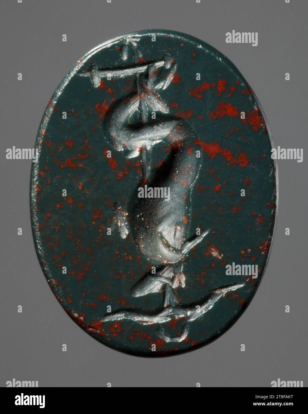 Dolphin coiling hi-res stock photography and images - Alamy