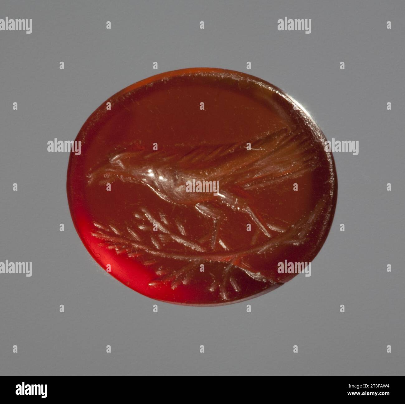 Imperial raven hi-res stock photography and images - Alamy