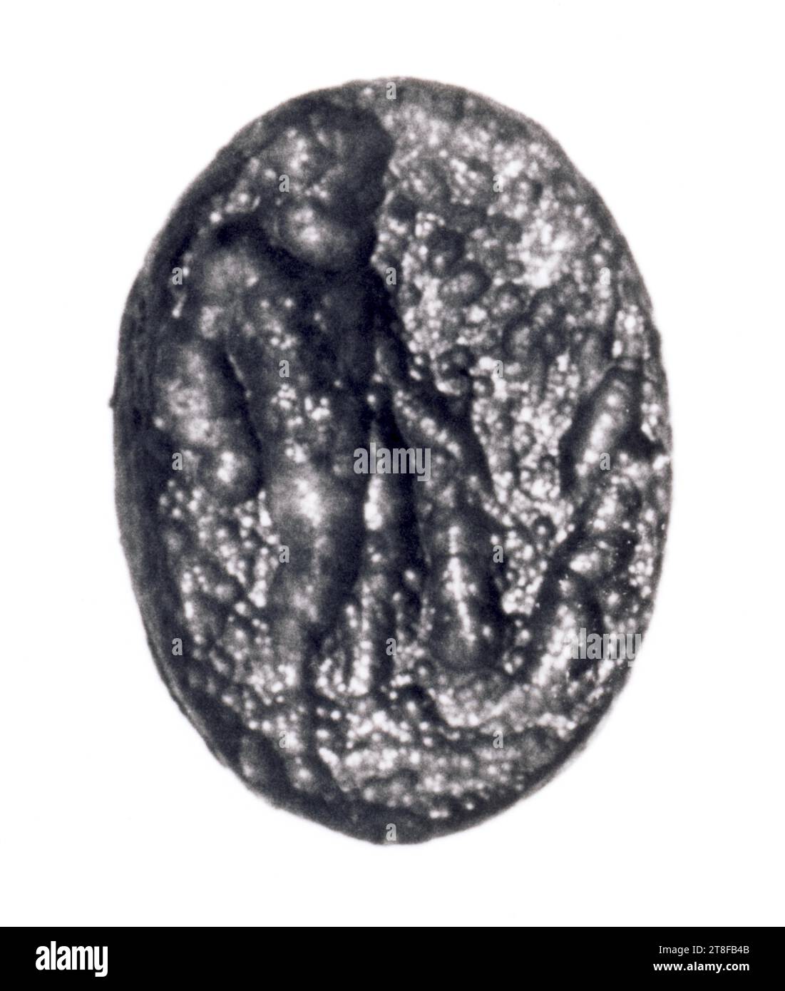 Hercules in the garden of the Hesperides, No earlier than 30 BC - No ...