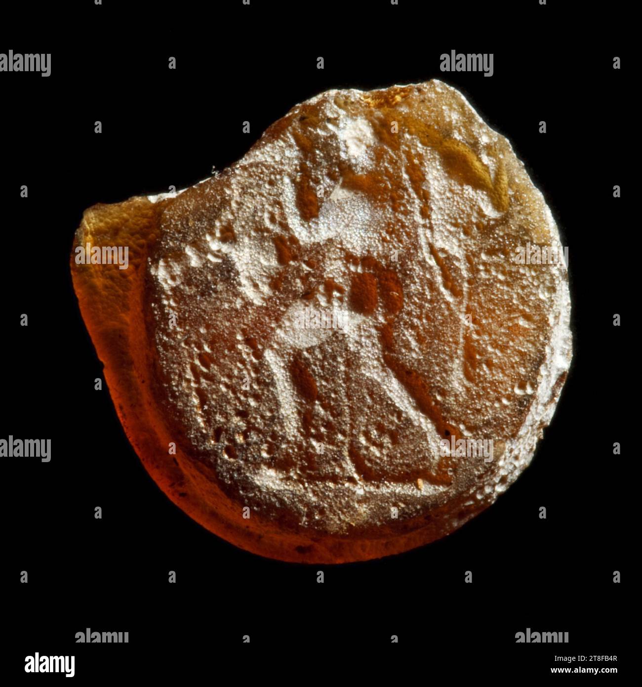 Hercules and the Cretan Bull, No earlier than 30 BC - No later than 200 ...