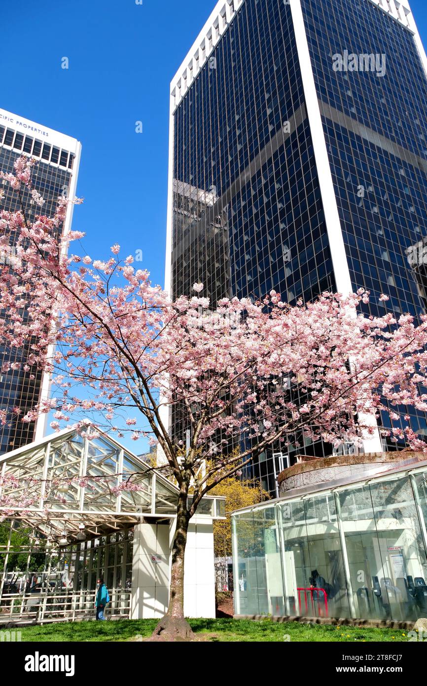 various recognizable places and attractions of Vancouver in Canada city ...