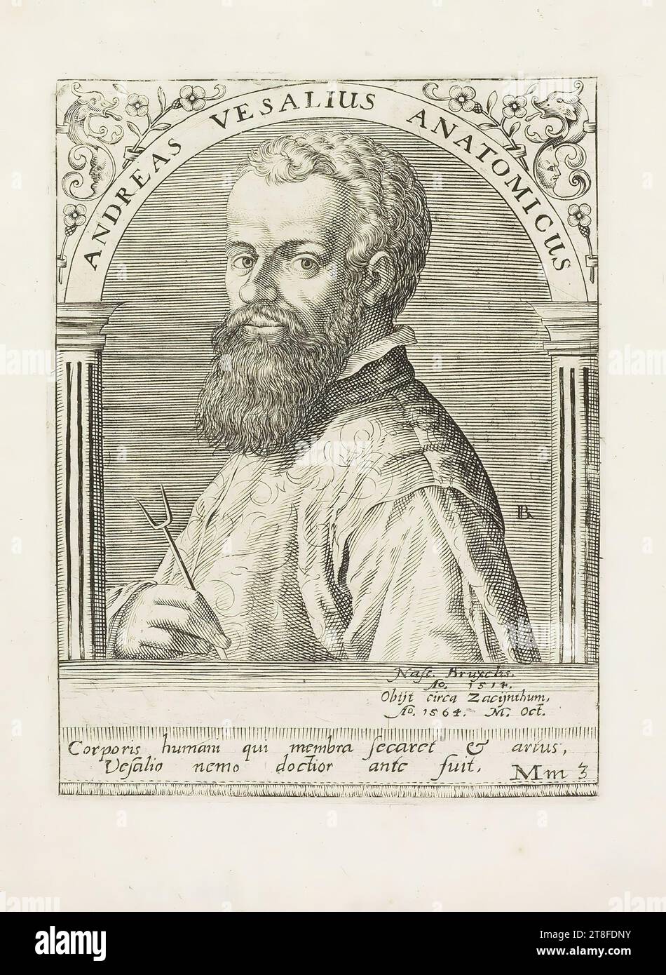 ANDREAS VESALIUS ANATOMICUS. B. Nase of Brussels, Ao. 1514, Obijt circa ...