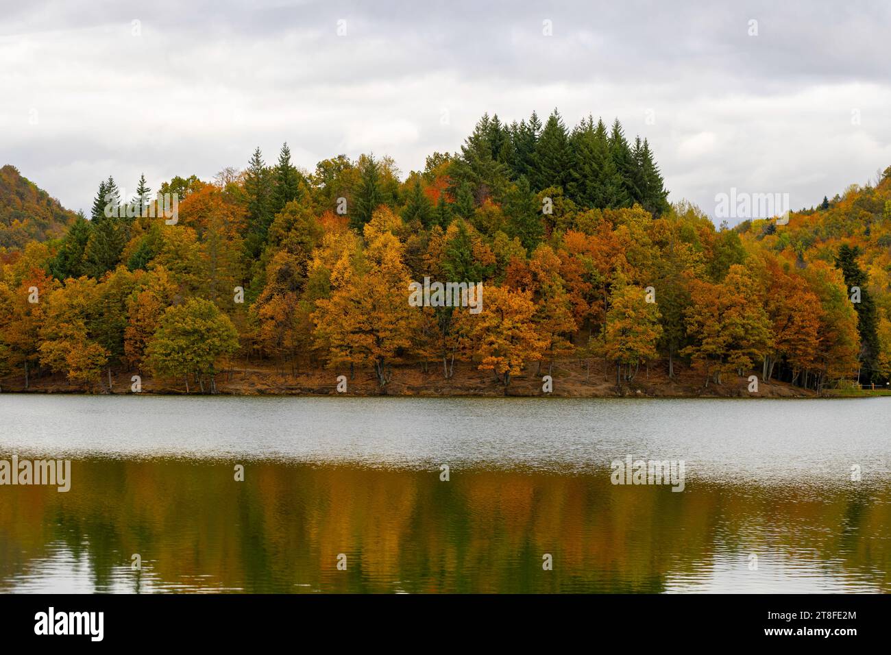 fall foliage forest reflecting in the still surface of lake water, Beautiful Autumn foliage ...