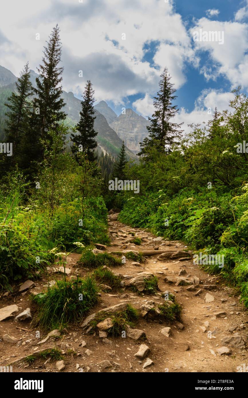 Hiking trail to Plain of Six Glaciers. Narrow path in the mountains ...