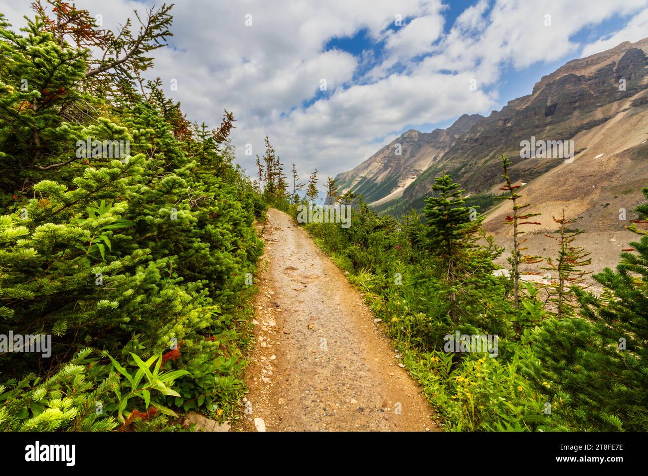 Hiking trail to Plain of Six Glaciers. Narrow path in the mountains ...