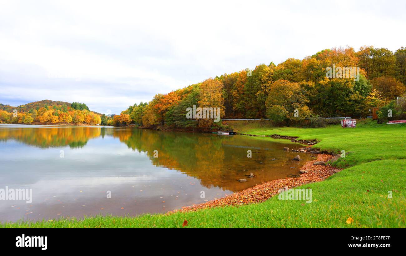 fall foliage forest reflecting in the still surface of lake water, Beautiful Autumn foliage ...