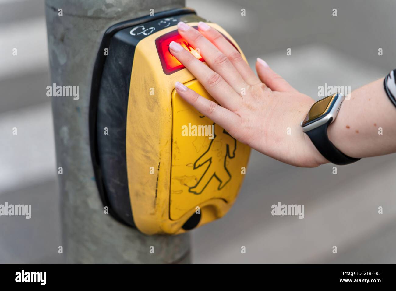 Zebra priority marking hi-res stock photography and images - Alamy