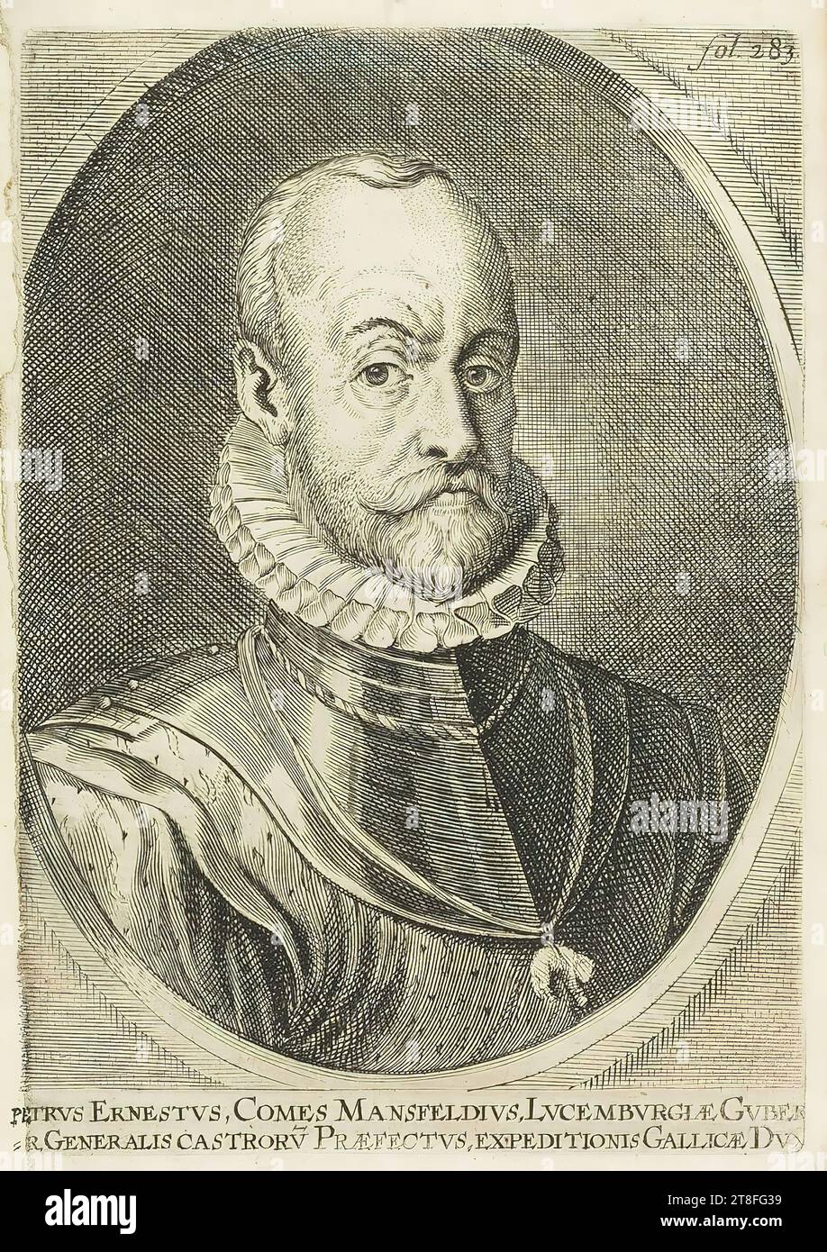 Comes mansfeldivs hi-res stock photography and images - Alamy