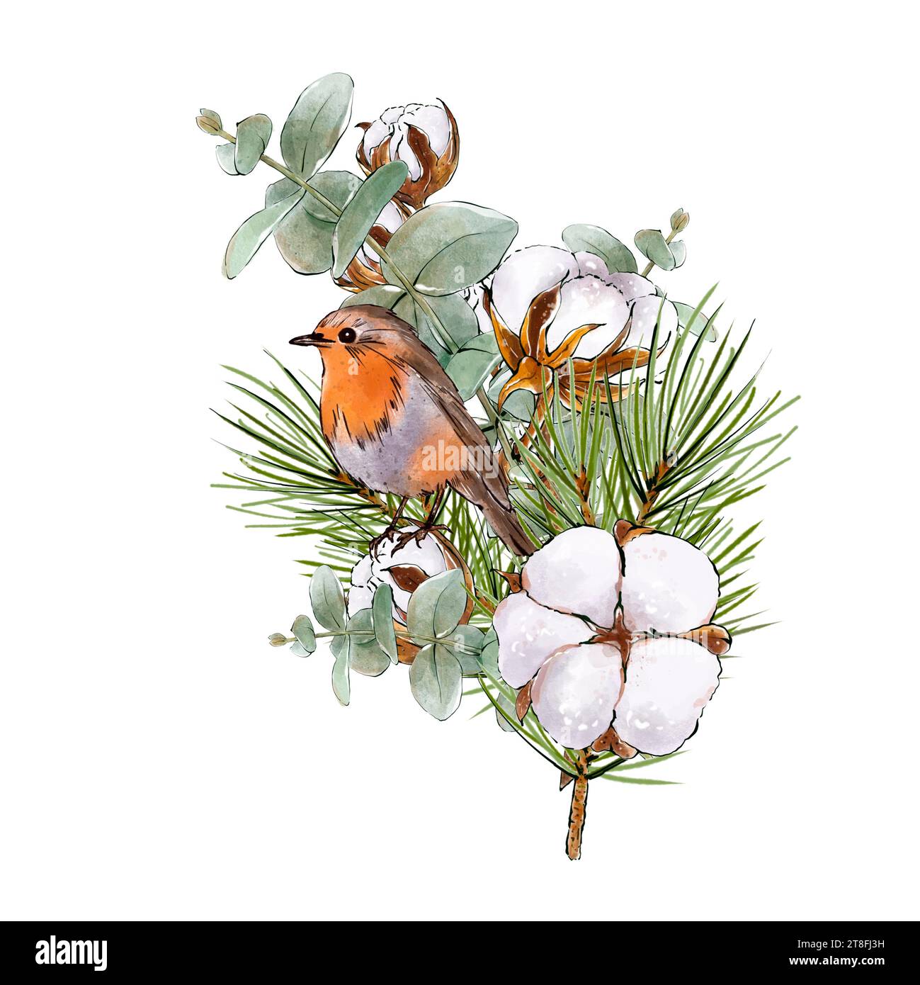 Watercolor Christmas bouquet of fir branch, greenery, robin bird and ...