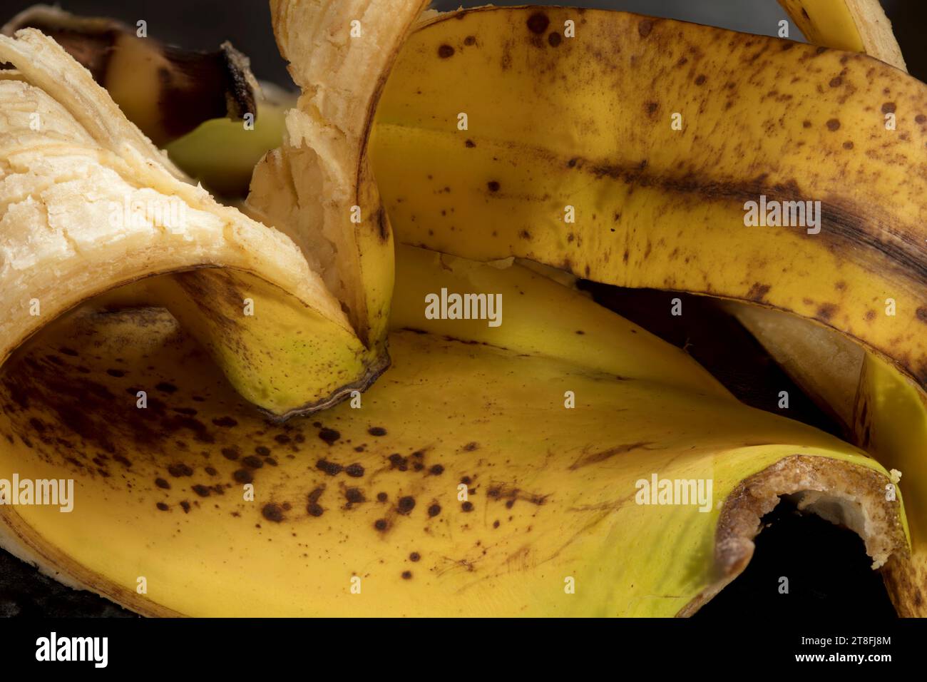 Intriguing semi-abstract close up food still life of banana peel ...