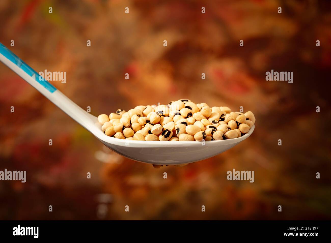 Close up high resolution food still life of commercially important ...