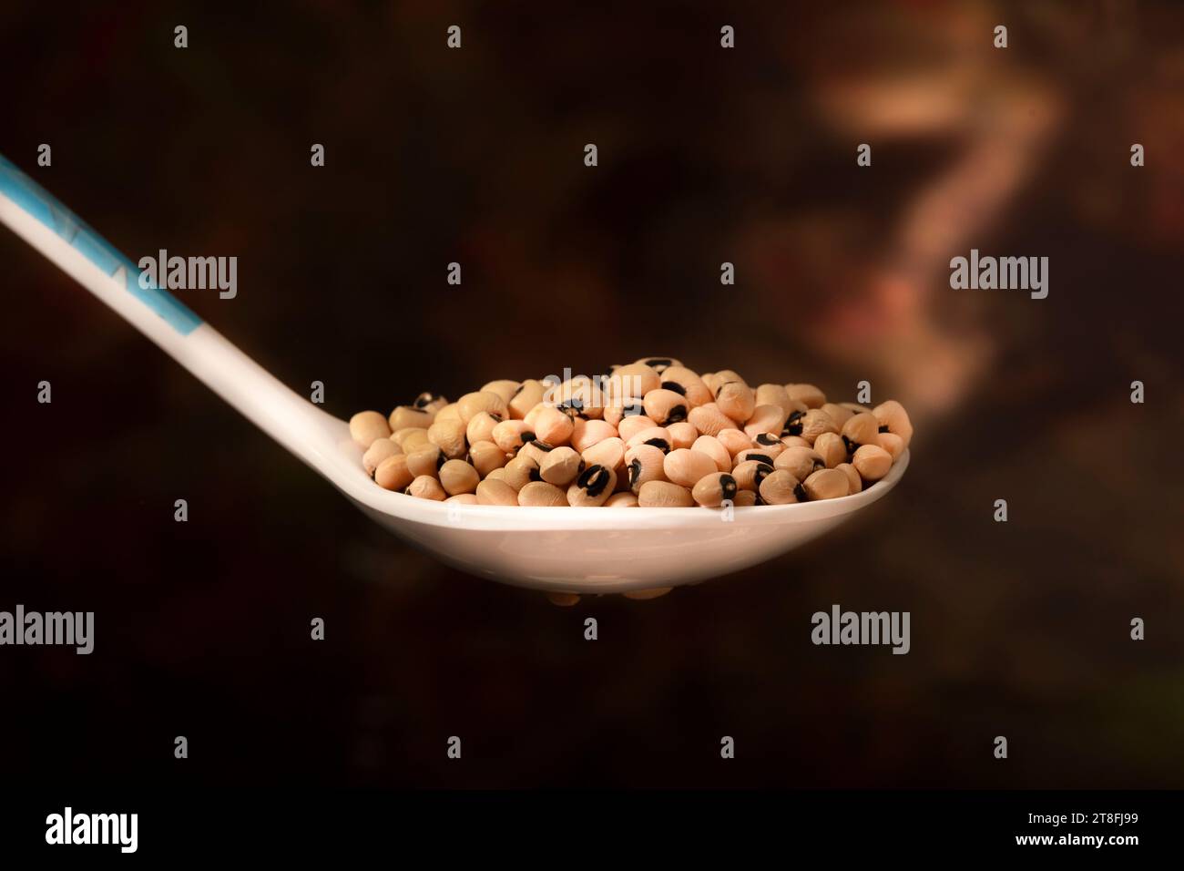 Close up high resolution food still life of commercially important ...