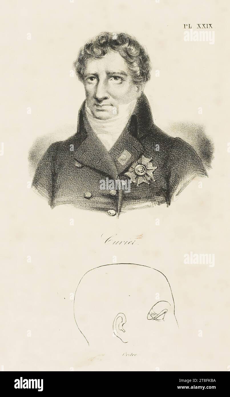 29.PL. XXIX. Cuvier. Order. illustration from: POUPIN, Théodore ...