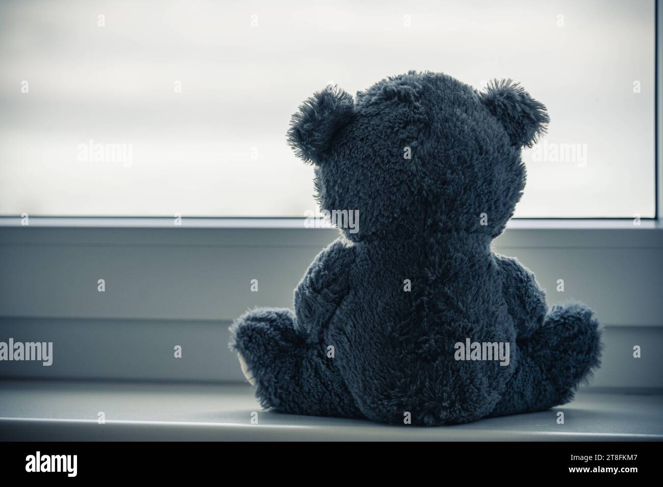 Augsburg, Bavaria, Germany - November 20, 2023: Sad stuffed animal ...