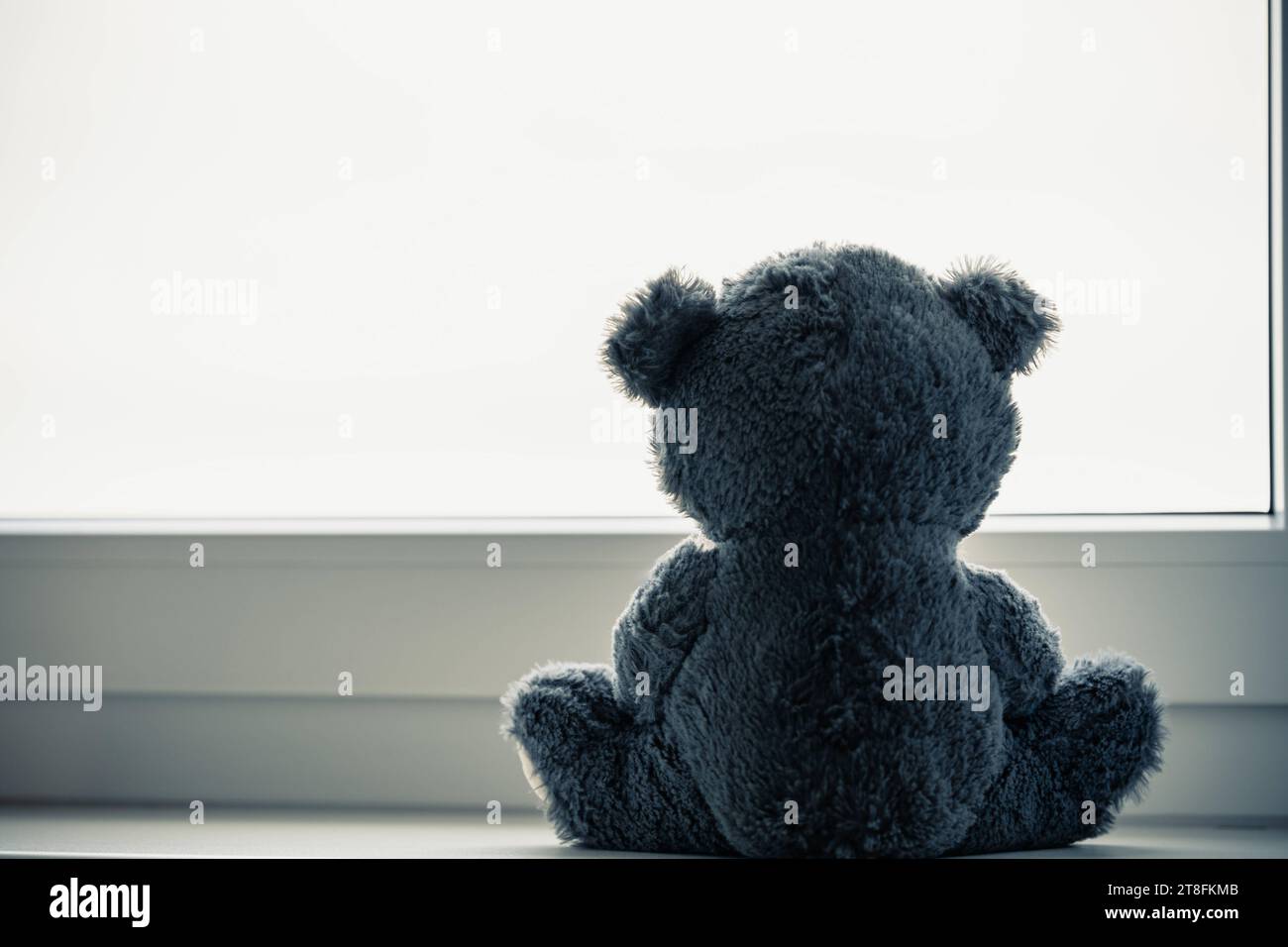 Augsburg, Bavaria, Germany - November 20, 2023: Sad stuffed animal ...