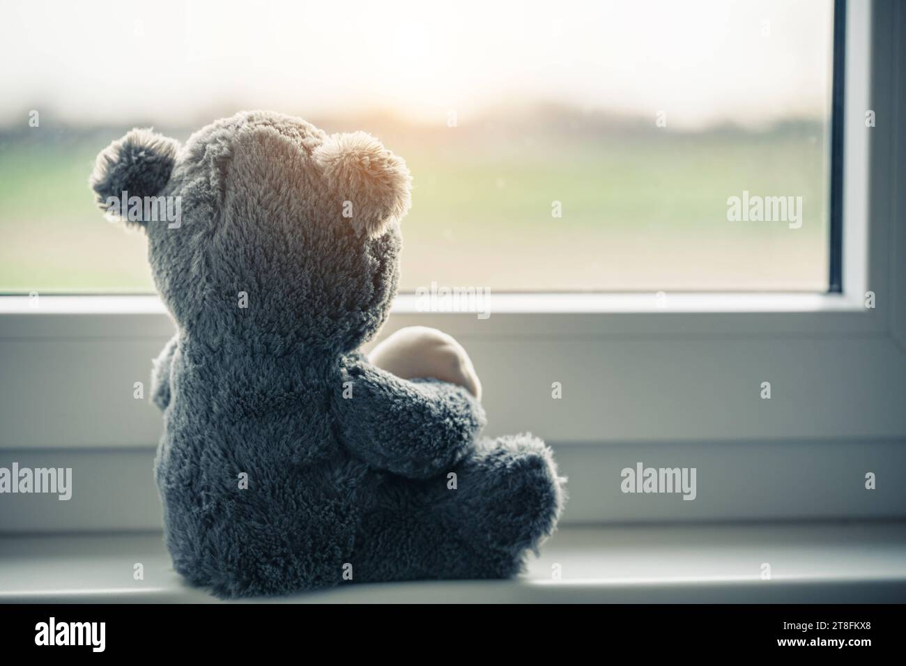 Augsburg, Bavaria, Germany - November 20, 2023: Sad stuffed animal ...