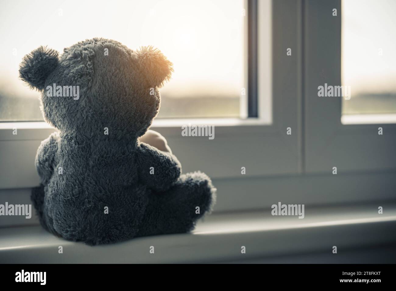 Augsburg, Bavaria, Germany - November 20, 2023: Sad stuffed animal ...