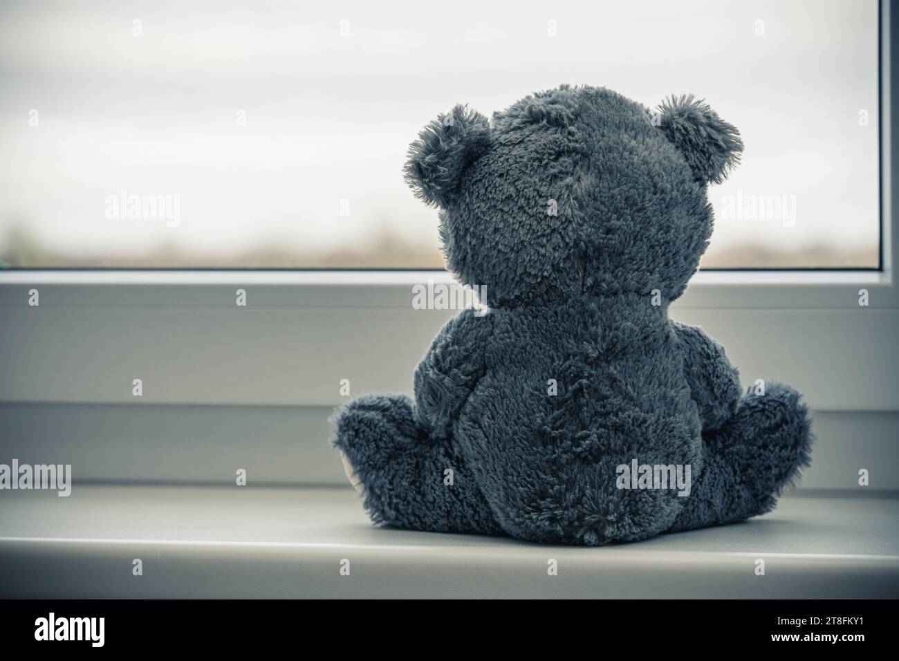 Augsburg, Bavaria, Germany - November 20, 2023: Sad stuffed animal ...