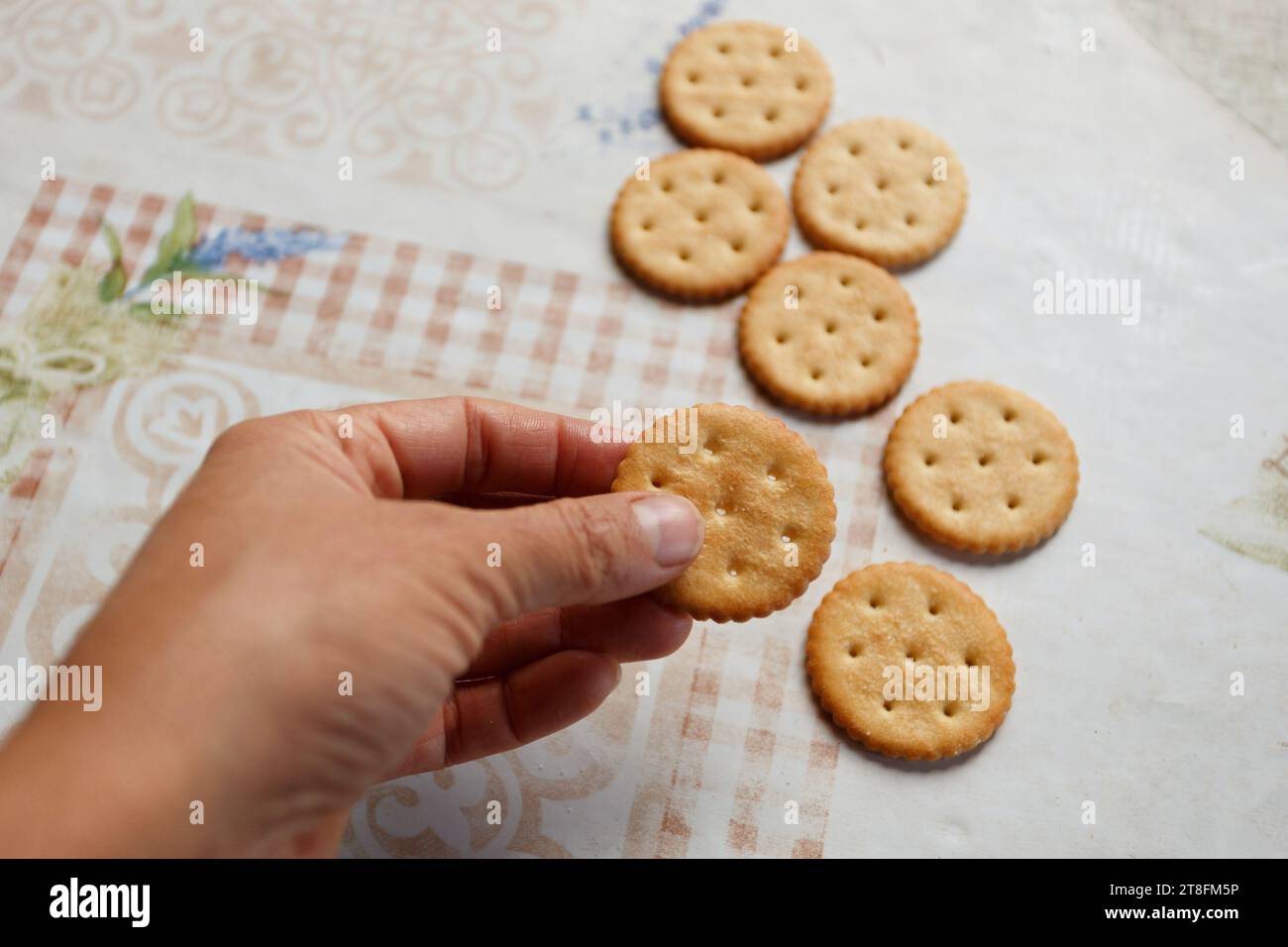 Baked round salty crackers close hi-res stock photography and images ...
