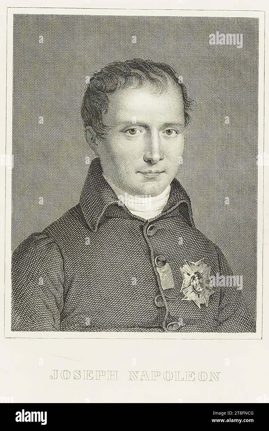 Joseph napoleon hi-res stock photography and images - Alamy