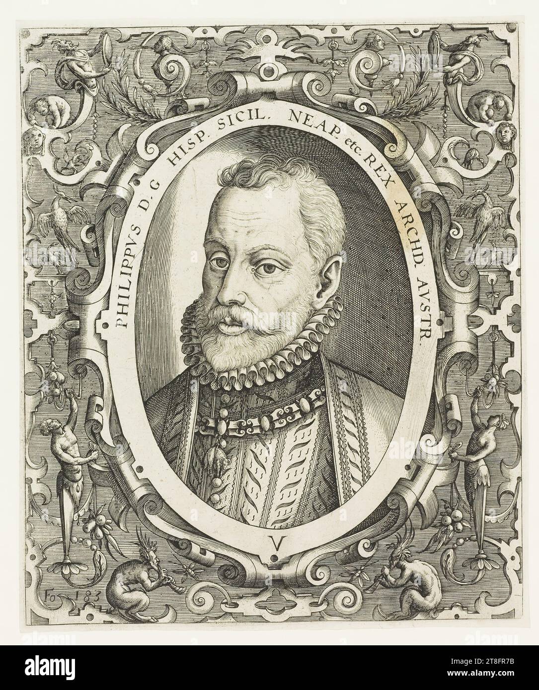 King archid hi-res stock photography and images - Alamy