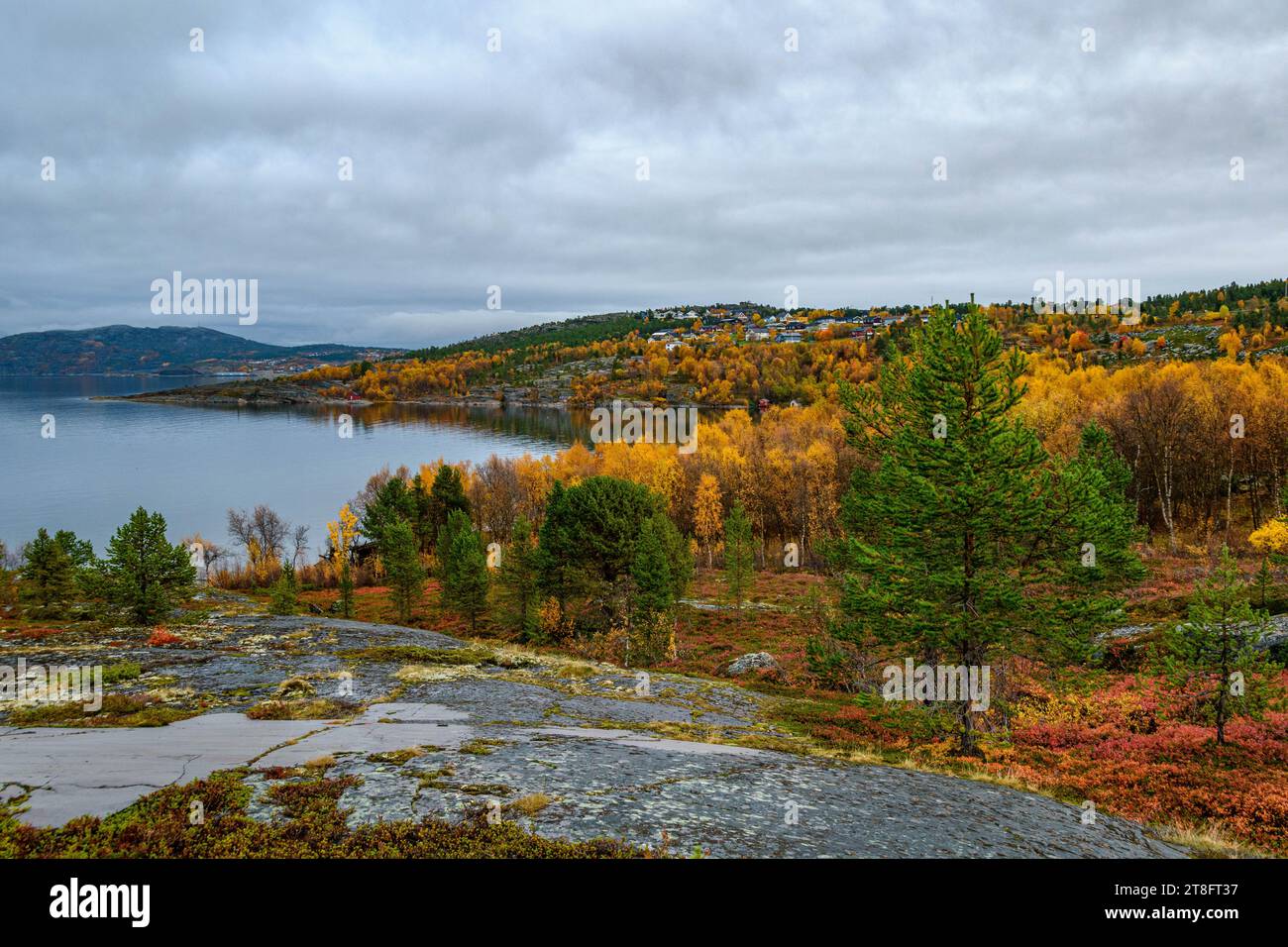 Autumn colours in Alta, Finnmark, Norway Stock Photo - Alamy