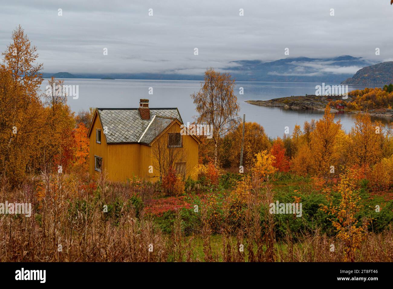 Autumn colours in Alta, Finnmark, Norway Stock Photo - Alamy