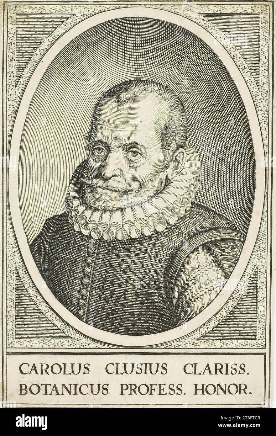 Clusius botany hi-res stock photography and images - Alamy