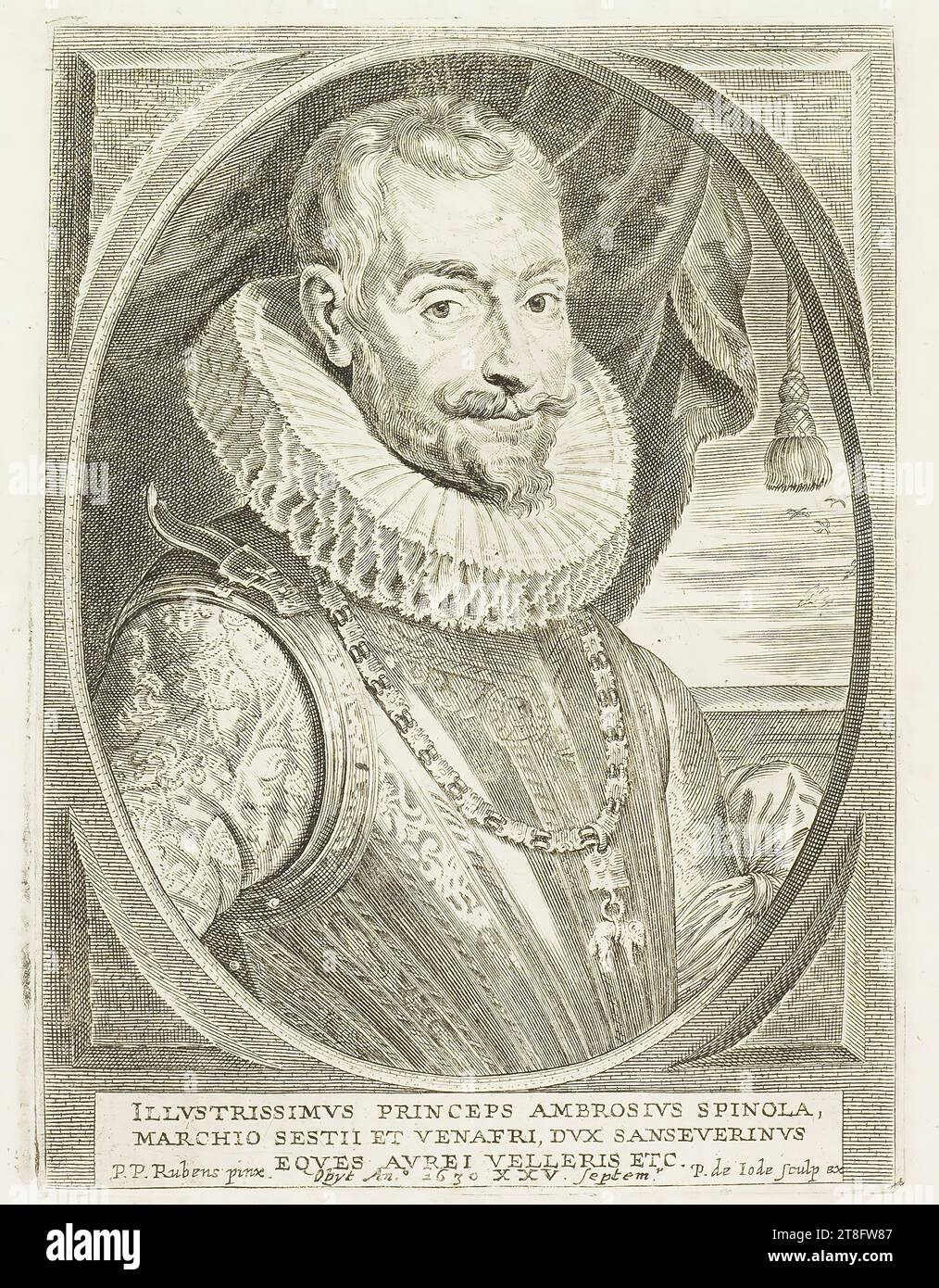 Aqves avrei velleri etc hi-res stock photography and images - Alamy