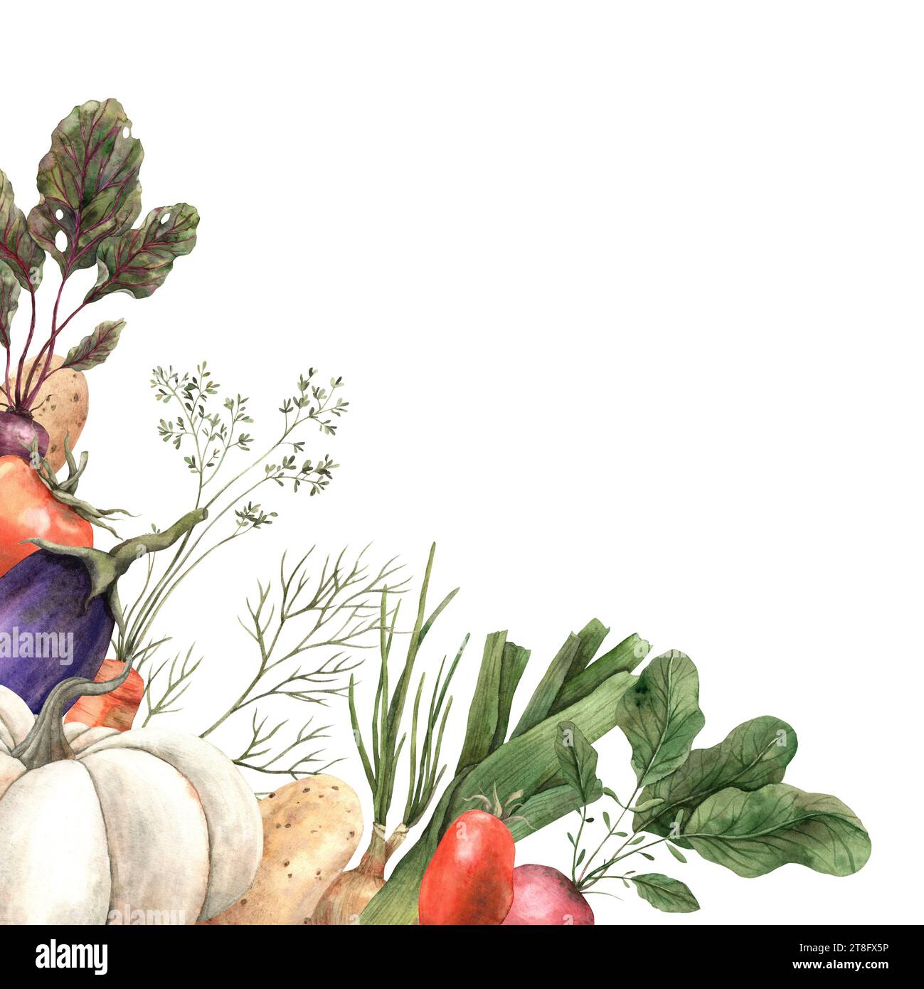 Frame, board, poster of different vegetables: pumpkin, radishes, beets ...