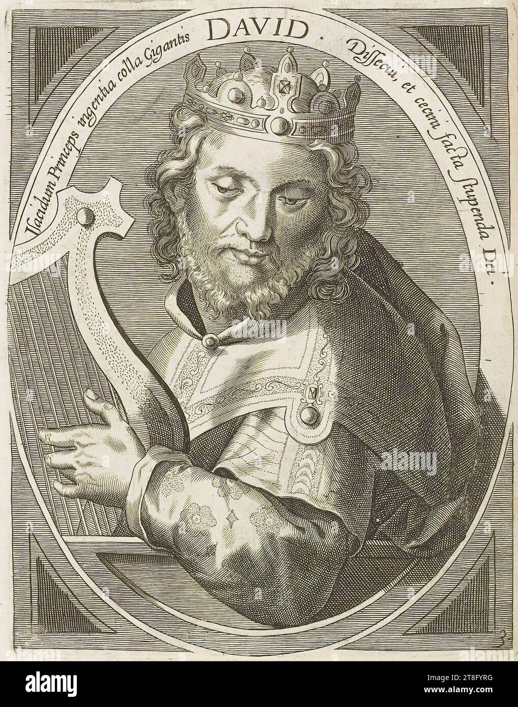 I dissected hi-res stock photography and images - Alamy