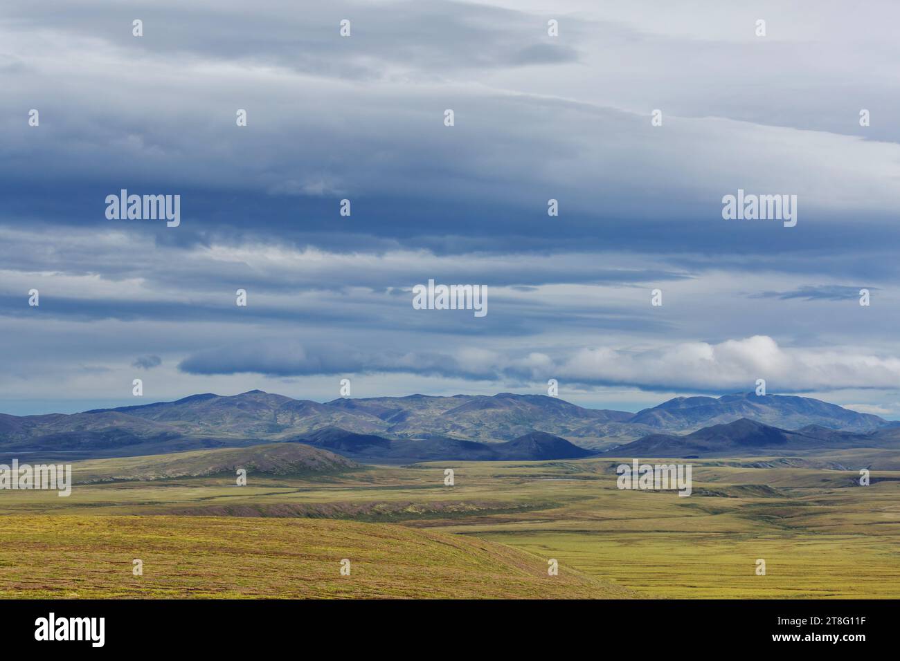 Tundra landscapes above Arctic circle Stock Photo - Alamy