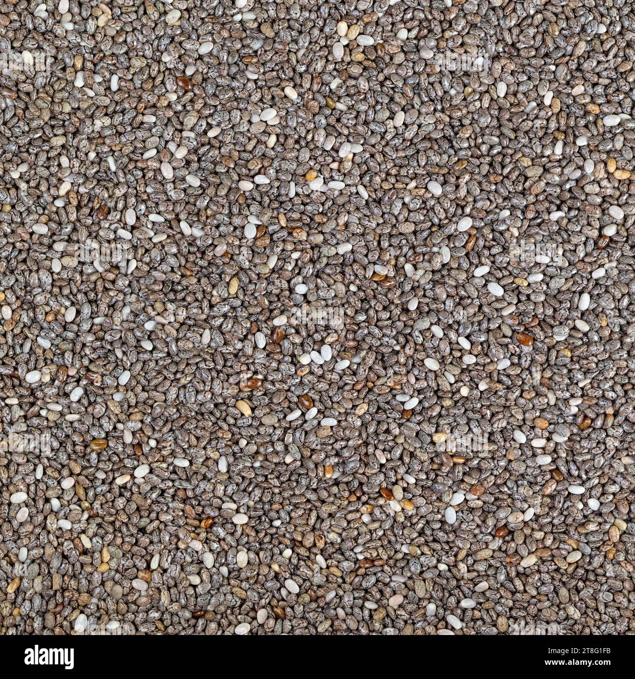 Chia seed in a close-up Stock Photo - Alamy