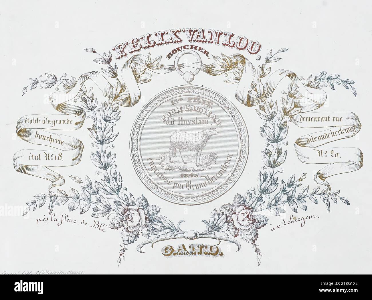 Dit flower hi-res stock photography and images - Alamy