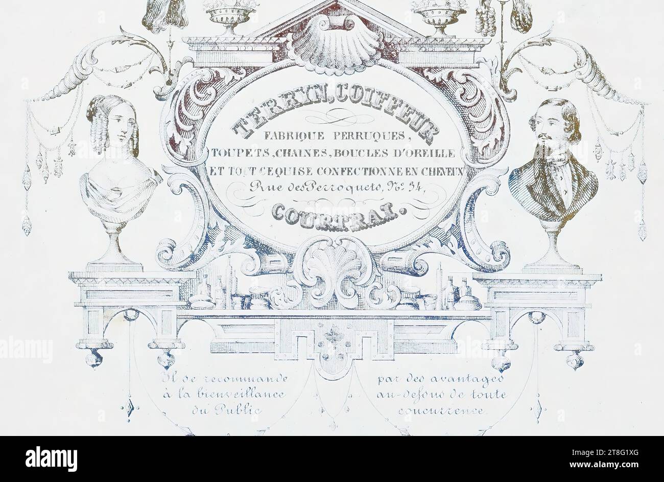 Rue de perroquets hi-res stock photography and images - Alamy