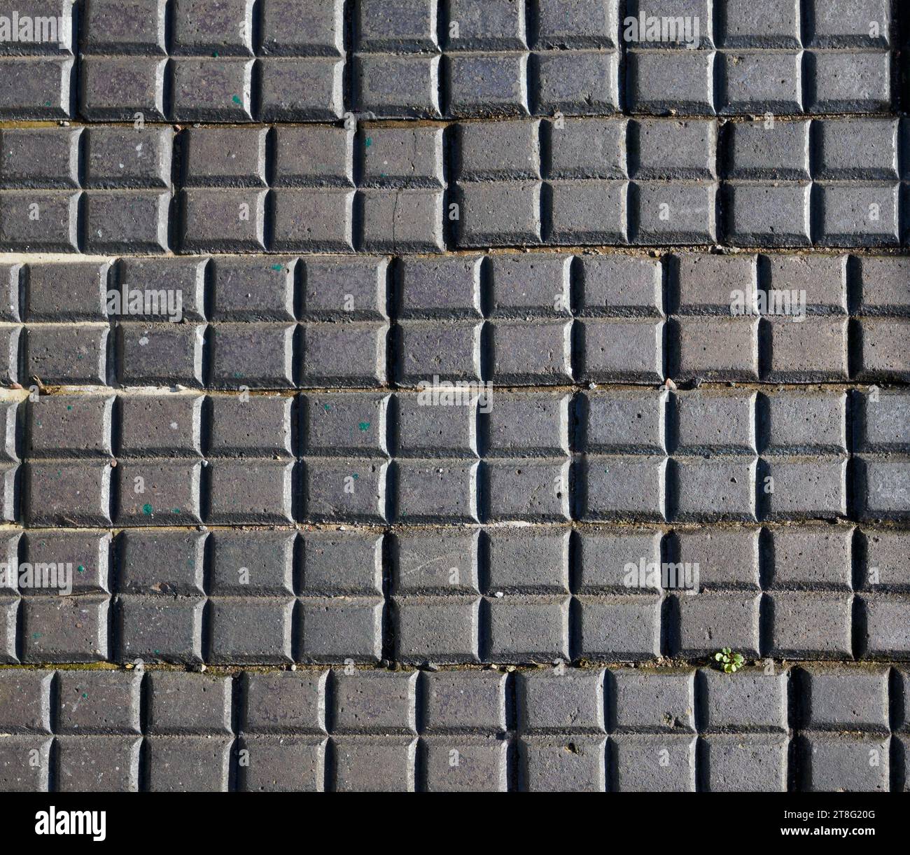 The Chocolate Path by the River Avon New Cut Bristol UK - named after ...