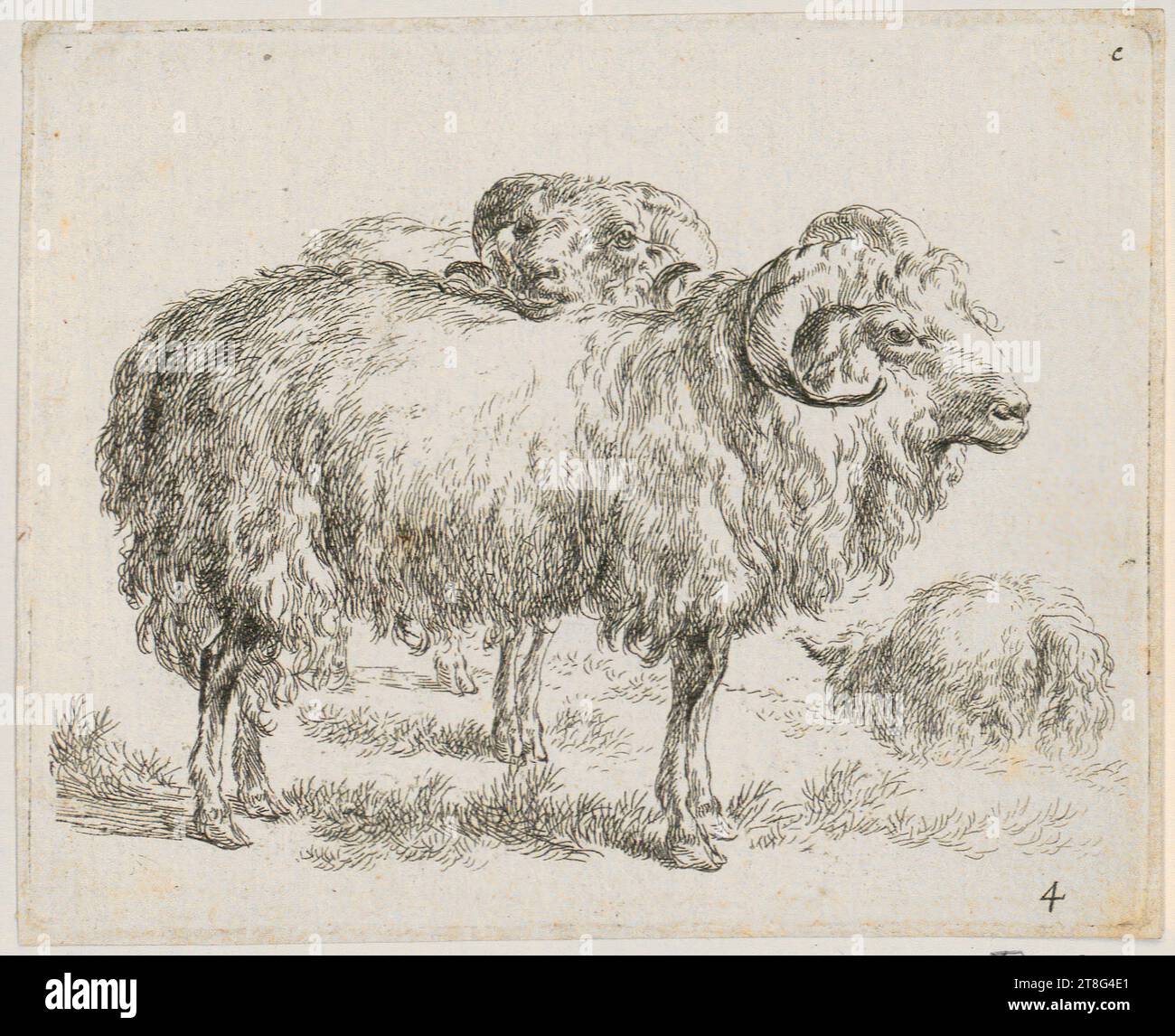Nicolaes Berchem (1620 um - 1683), Two rams and a sheep, sheet 4 of the ...