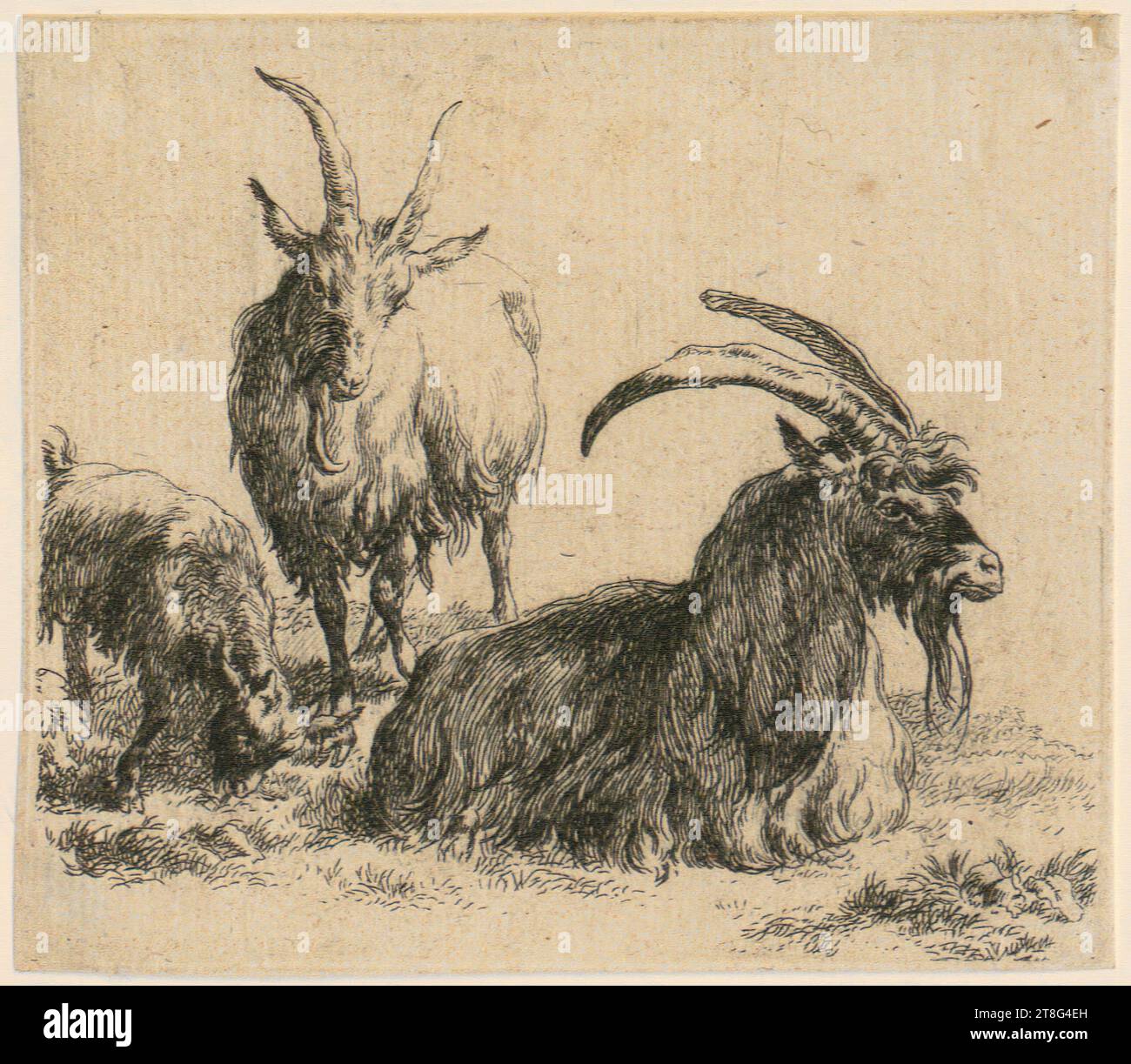 Nicolaes Berchem (1620 um - 1683), Lying he-goat with goat and kid ...