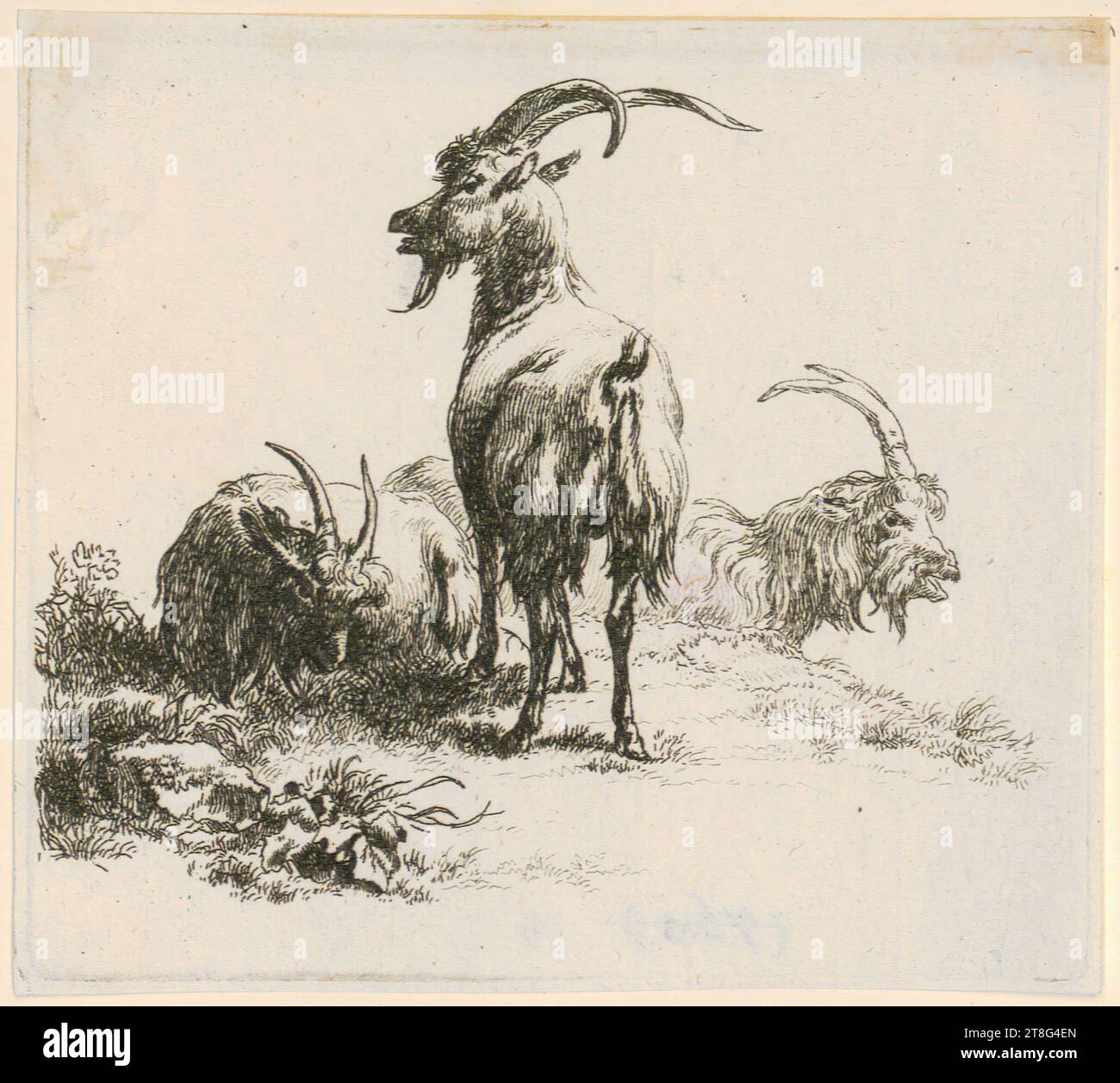 Nicolaes Berchem (1620 um - 1683), Two billy goats and a lying goat ...