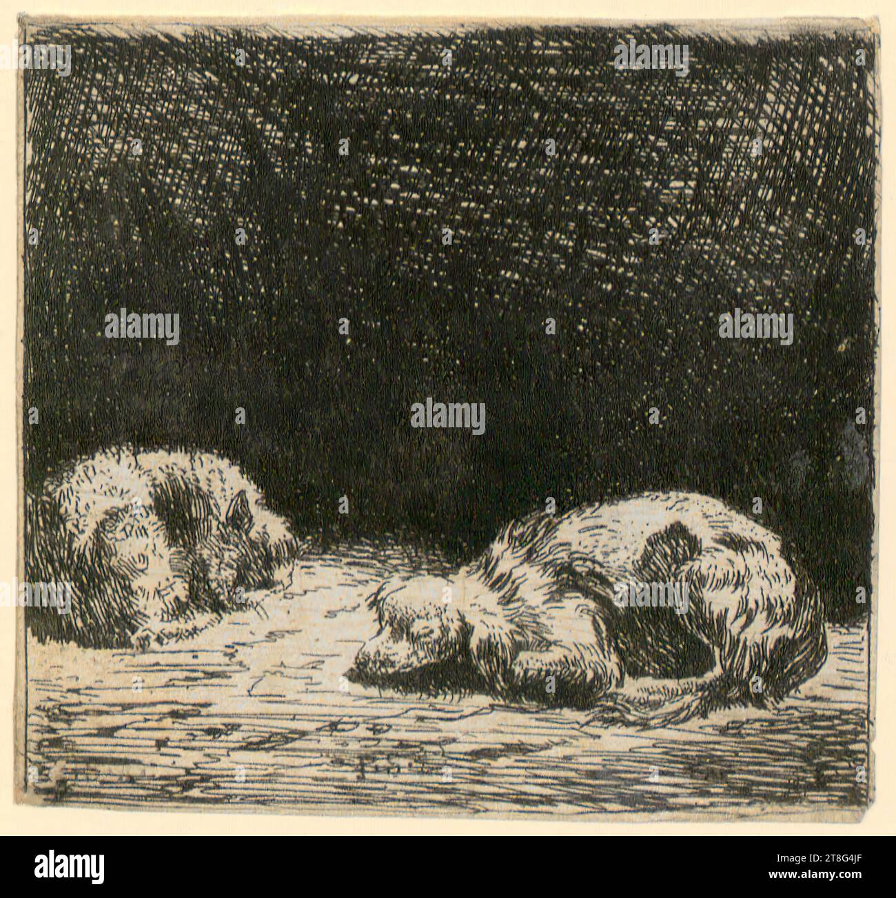 Karel Du Jardin (1626 - 1678), Dog and Cat, print medium: 1641 - 1678 ...