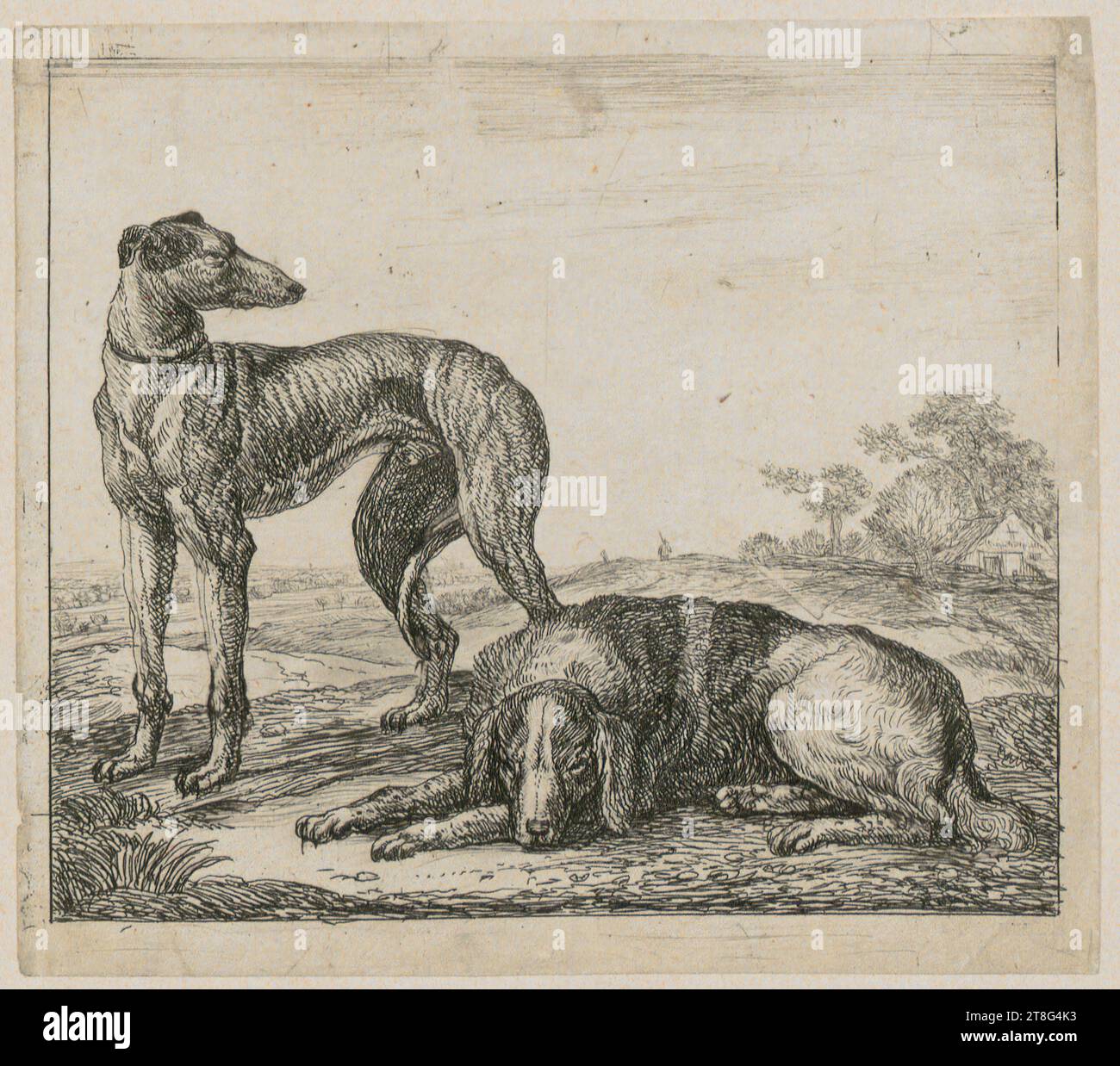 Simon de Vlieger (1600 um - 1653), Standing greyhound next to lying dog ...
