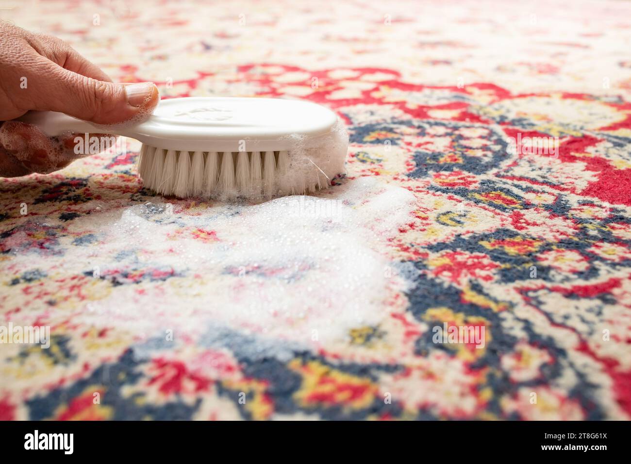 Male hand holding a white brush, on a natural fiber rug with white foam ...