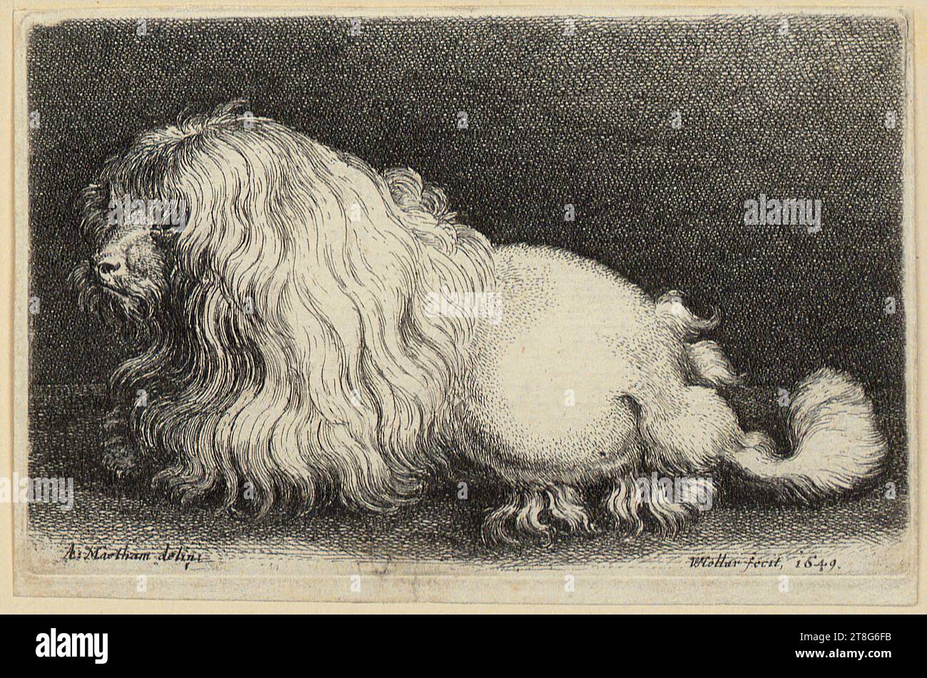 Maetham delin hi-res stock photography and images - Alamy