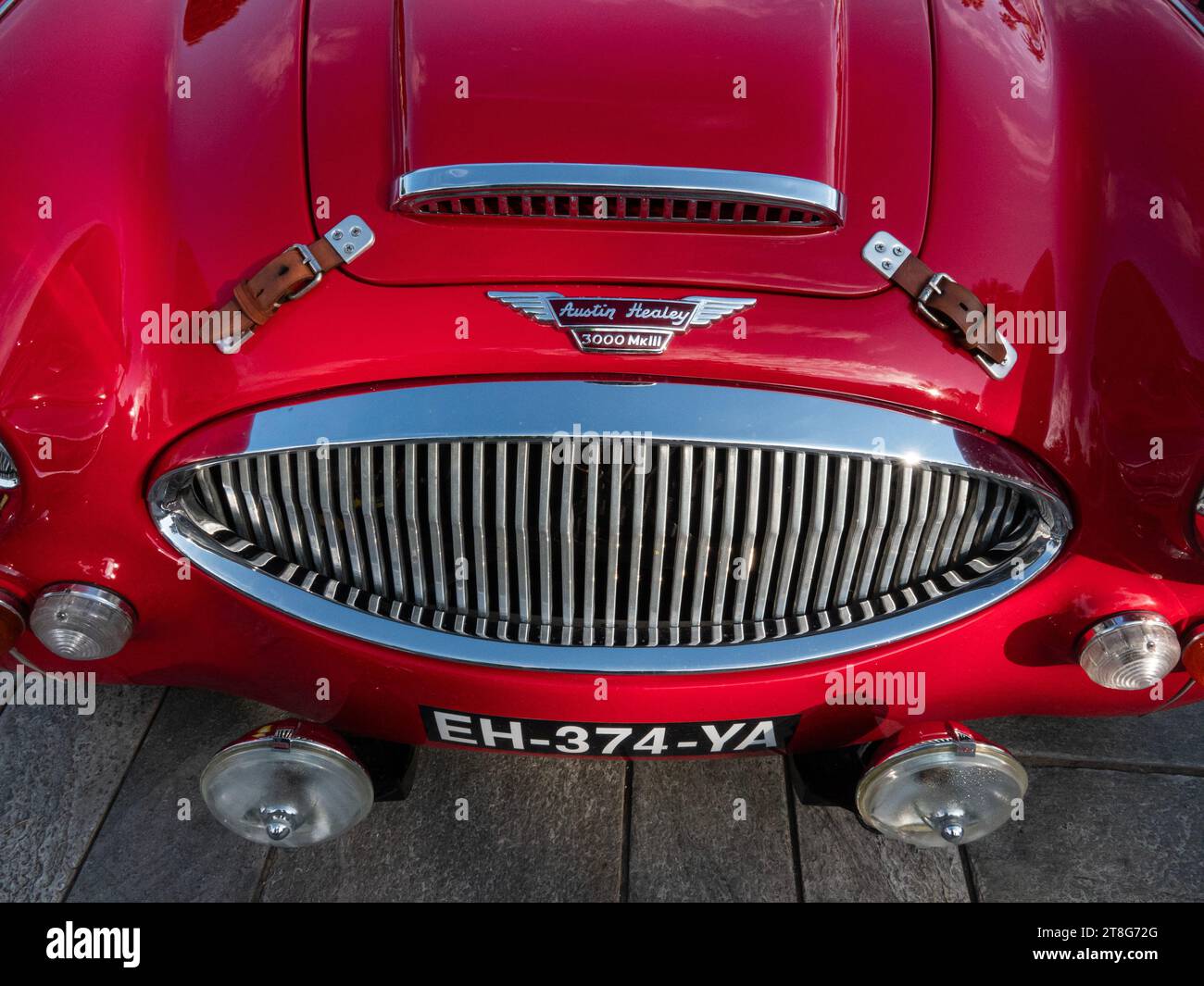 Healey car logo hi-res stock photography and images - Alamy