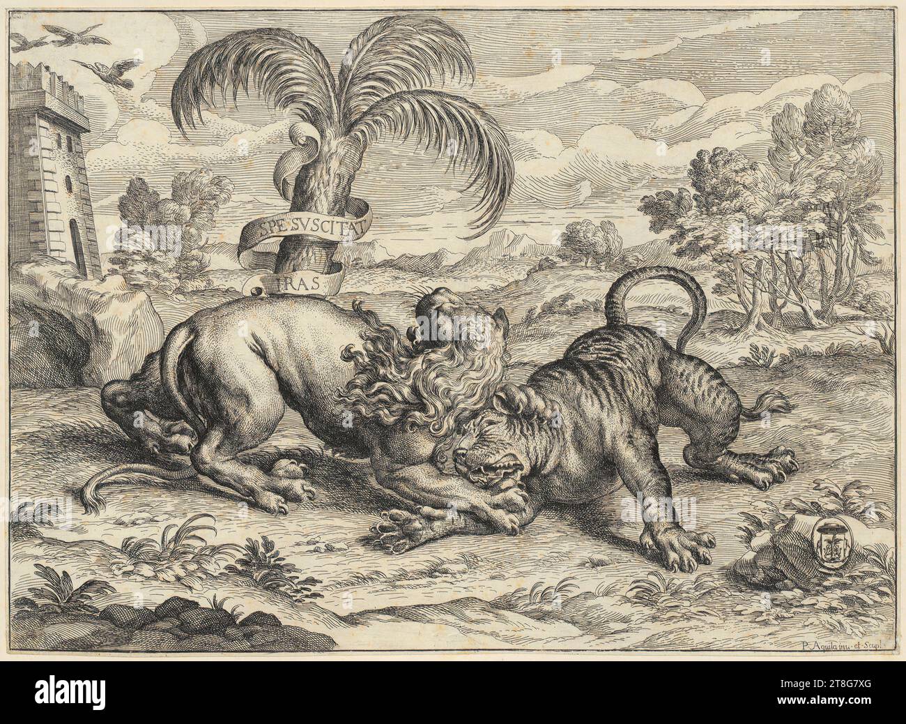 Two fighting felines hi-res stock photography and images - Alamy