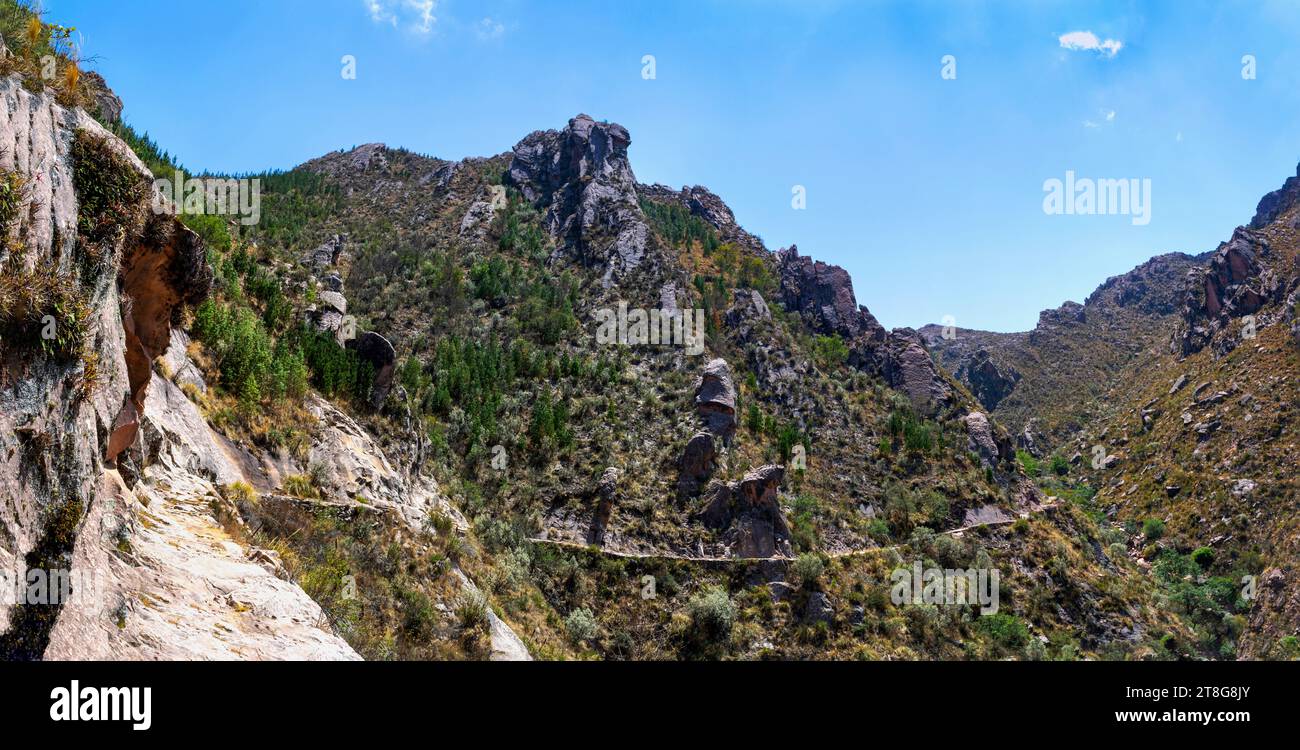 Camino del Inca (Inca Path) Bolivian Andes Stock Photo - Alamy