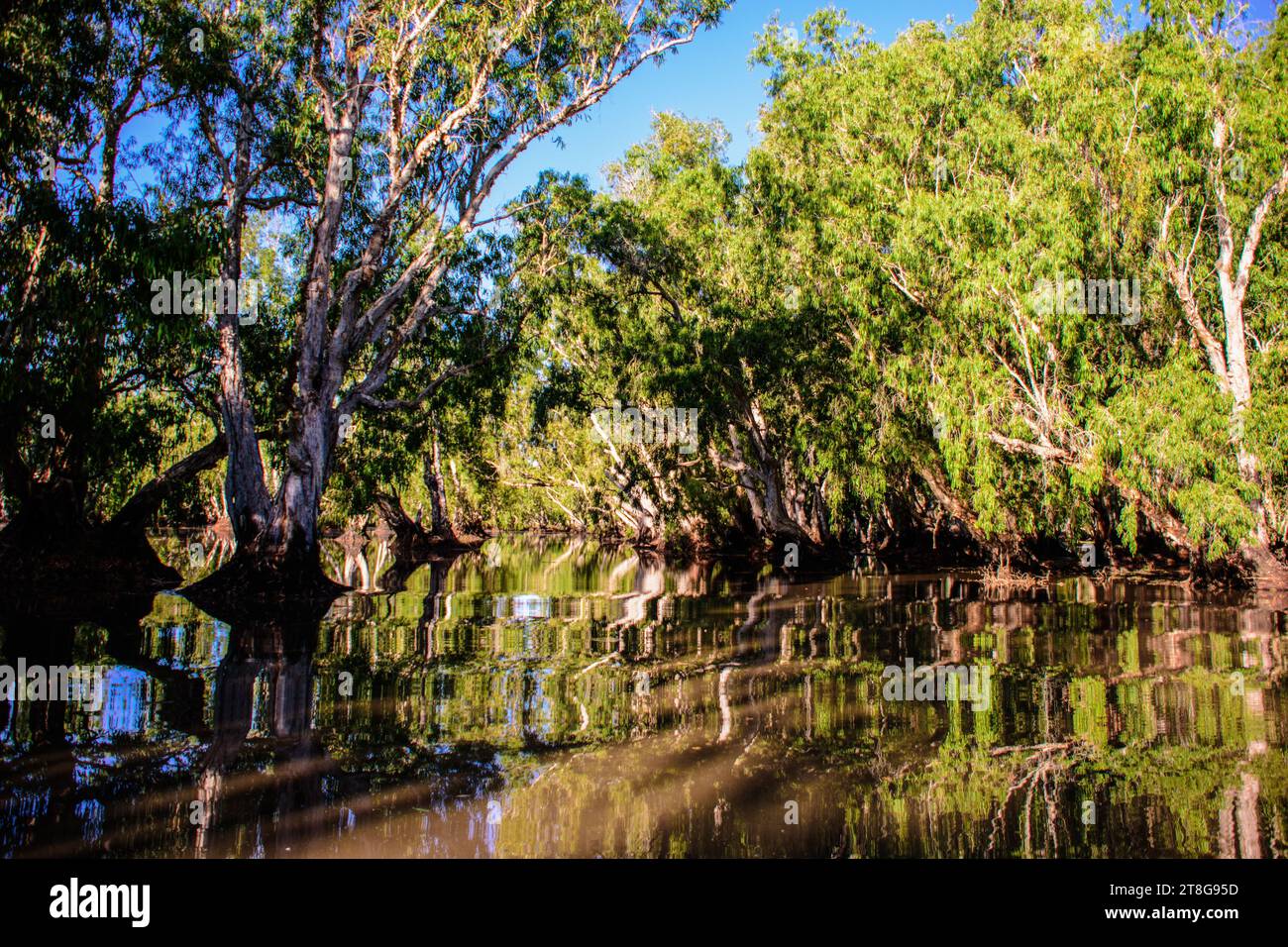stunning views of the Mary river landscape in the Northern Territories ...